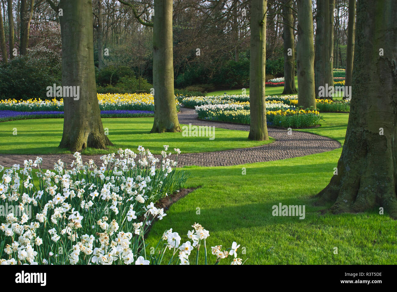 Netherlands, Lisse. Landscape in Keukenhof Gardens Stock Photo - Alamy