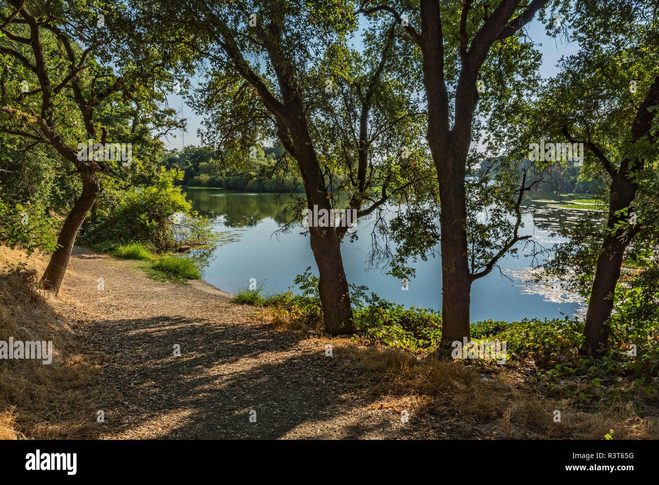 California, Sacramento River Delta, slough in Meadows Area behind the ...