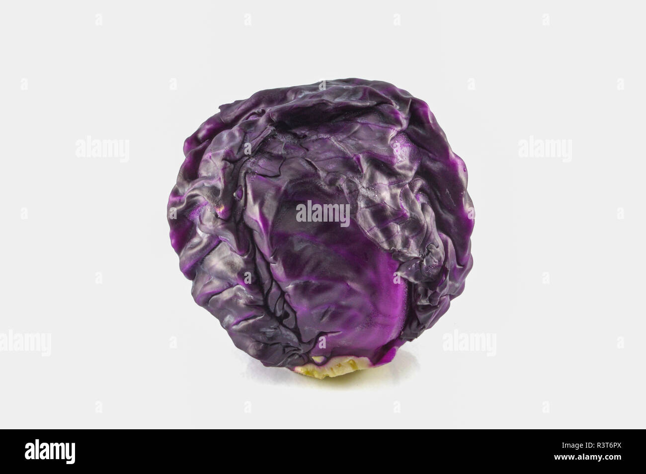purple cabbage isolated on white background Stock Photo - Alamy