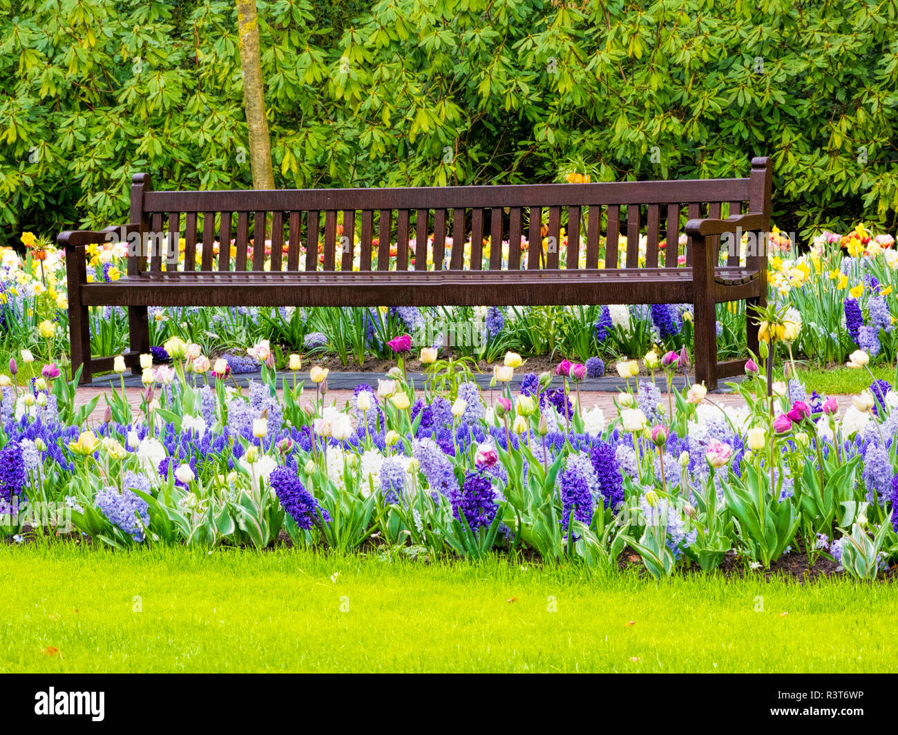 Bench in Spring flowers Stock Photo - Alamy