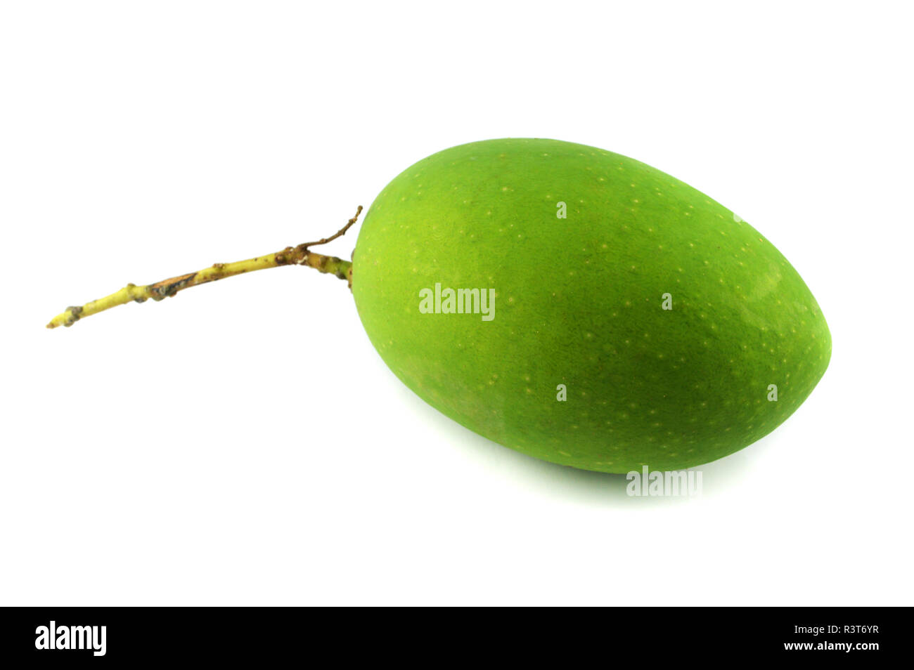 fresh green mango isolated / green raw mango tropical fruit isolated on ...