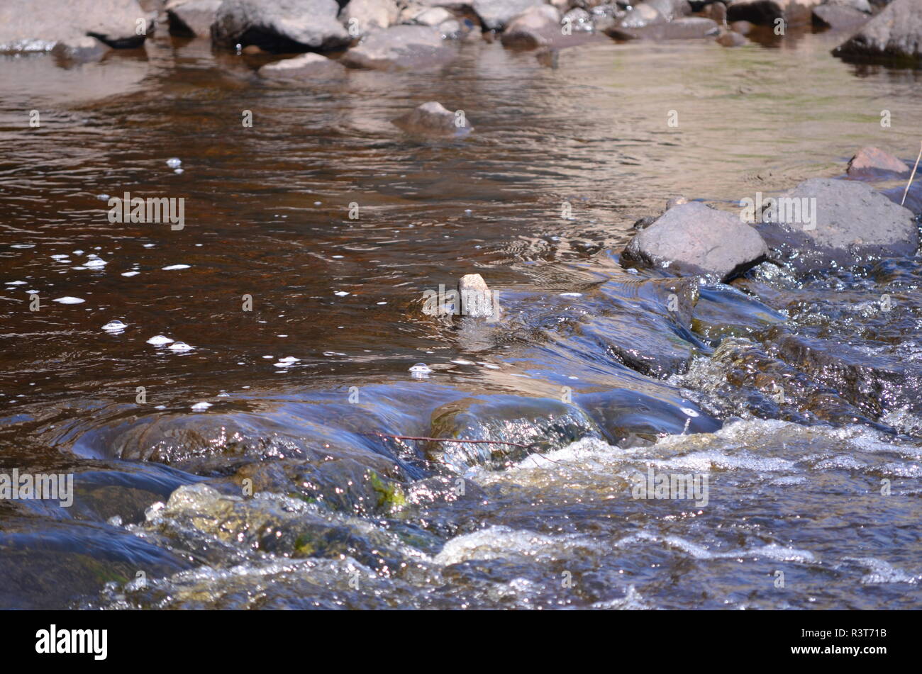 Small rapids hi-res stock photography and images - Alamy
