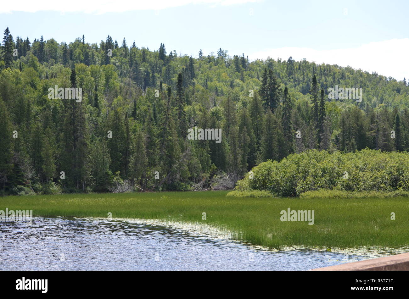 Large Natural Pond in Lake Superior National Forest Stock Photo - Alamy