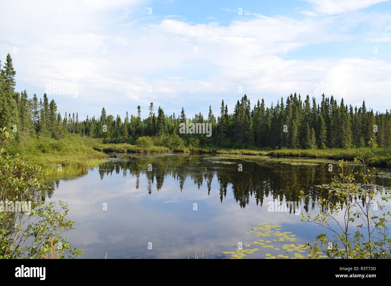 Large Natural Pond in Lake Superior National Forest Stock Photo - Alamy