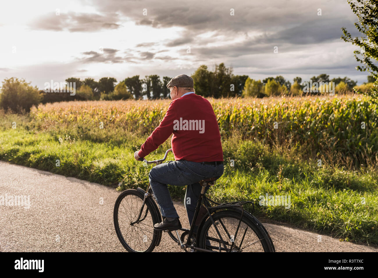 Old man riding bicycle hi-res stock photography and images - Alamy