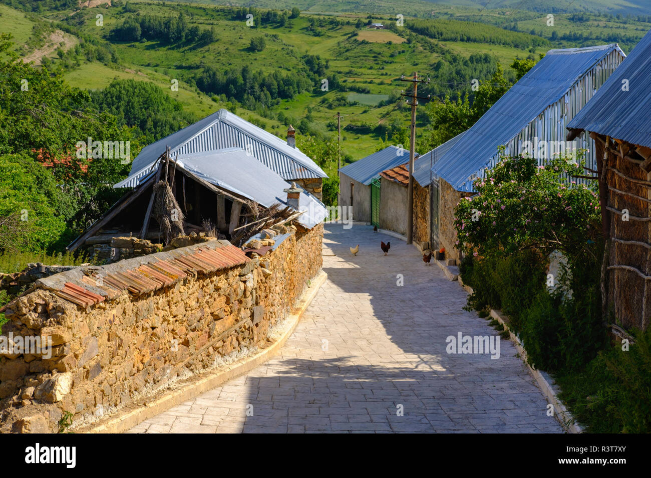 Kukes hi-res stock photography and images - Alamy