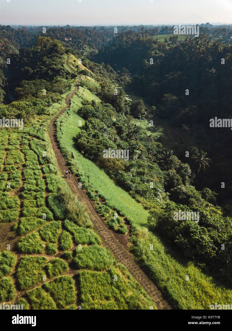 Indonesia, Bali, Ubud, Aerial view of path at hills Stock Photo - Alamy