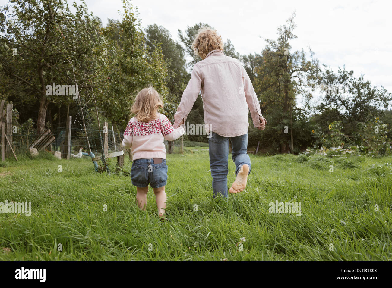 Back view of brother and his little sister walking barfoot on a meadow ...
