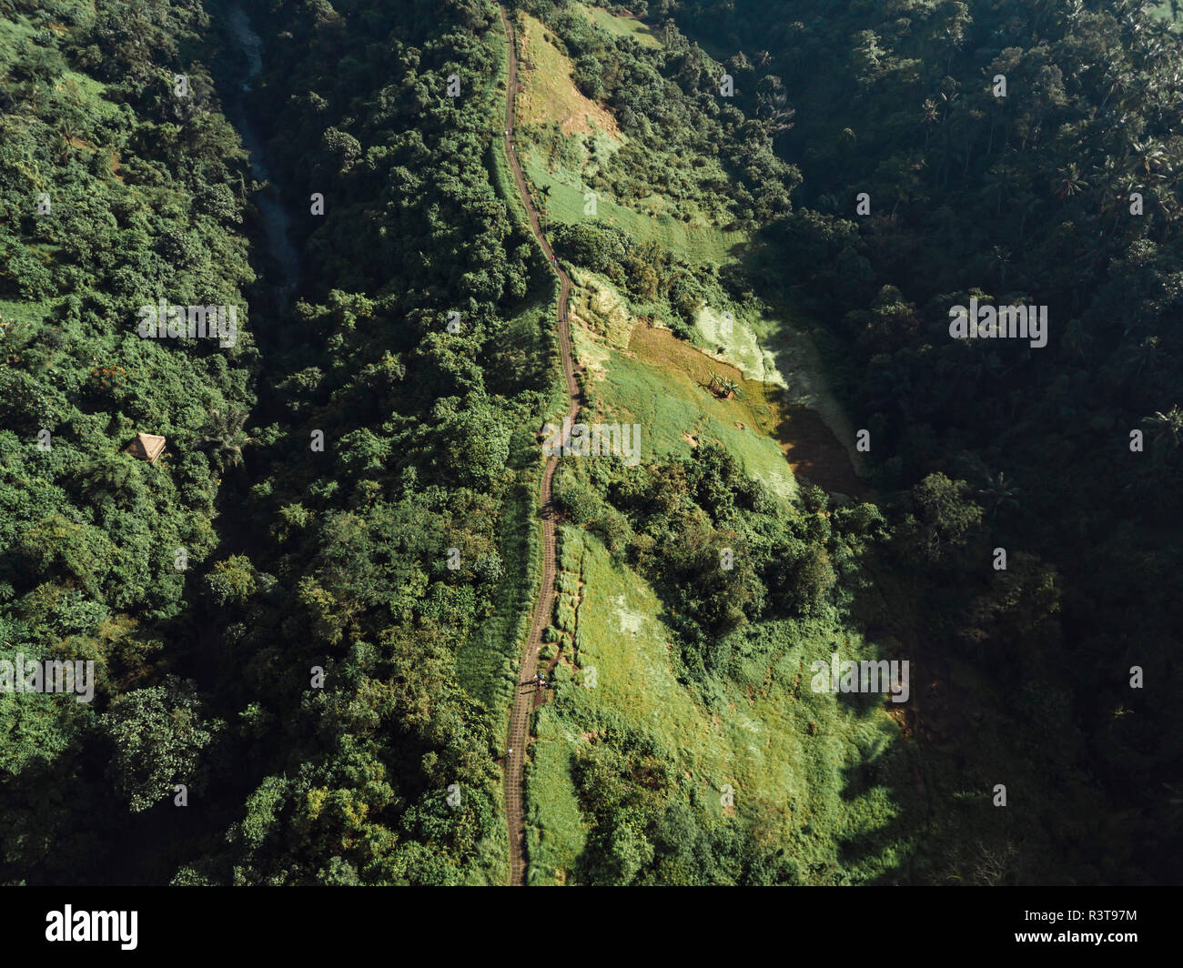 Indonesia, Bali, Ubud, Aerial view of path at hills Stock Photo - Alamy