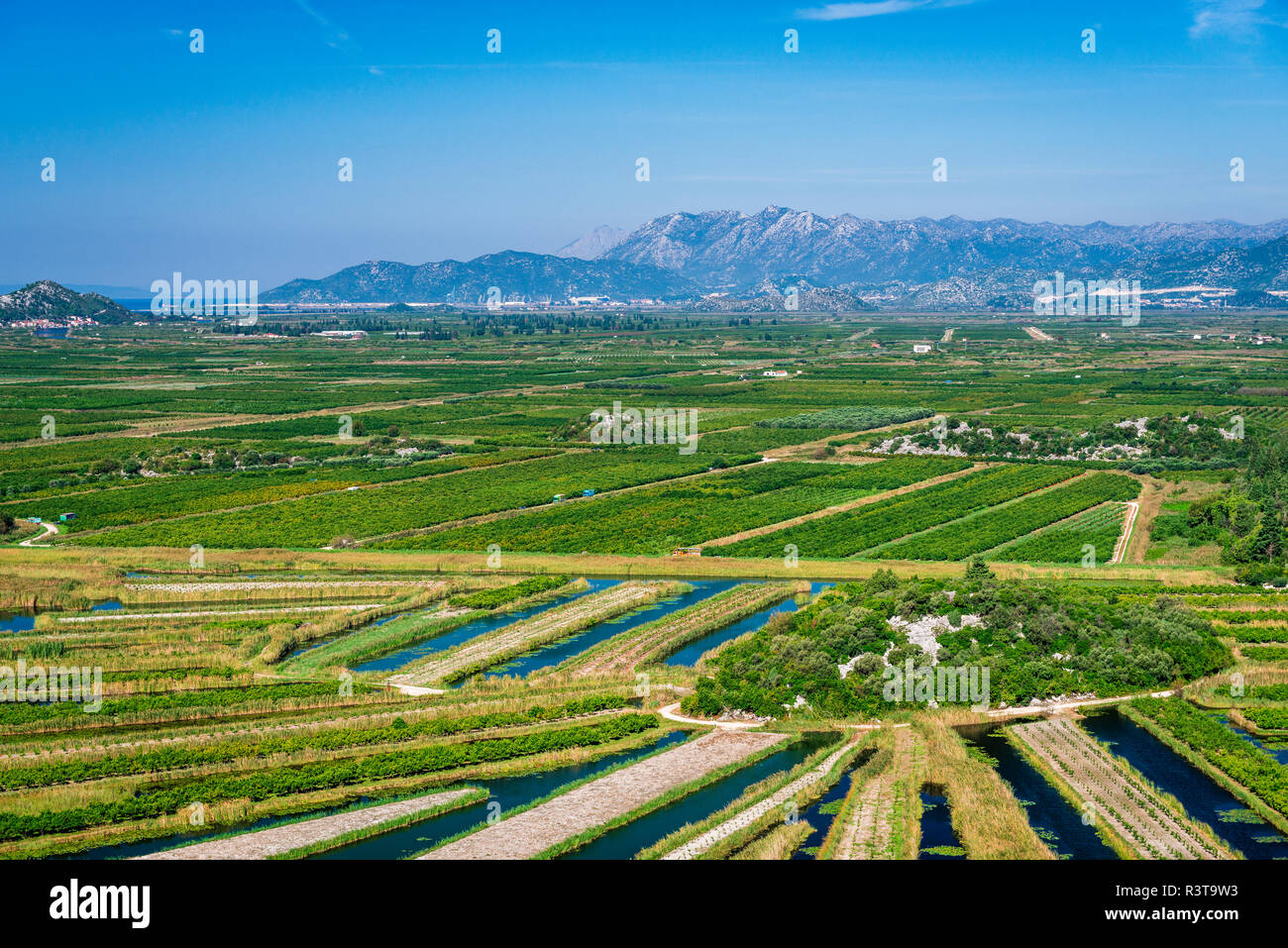 Fertile farmland along the Dalmatian Coast, Croatia Stock Photo - Alamy