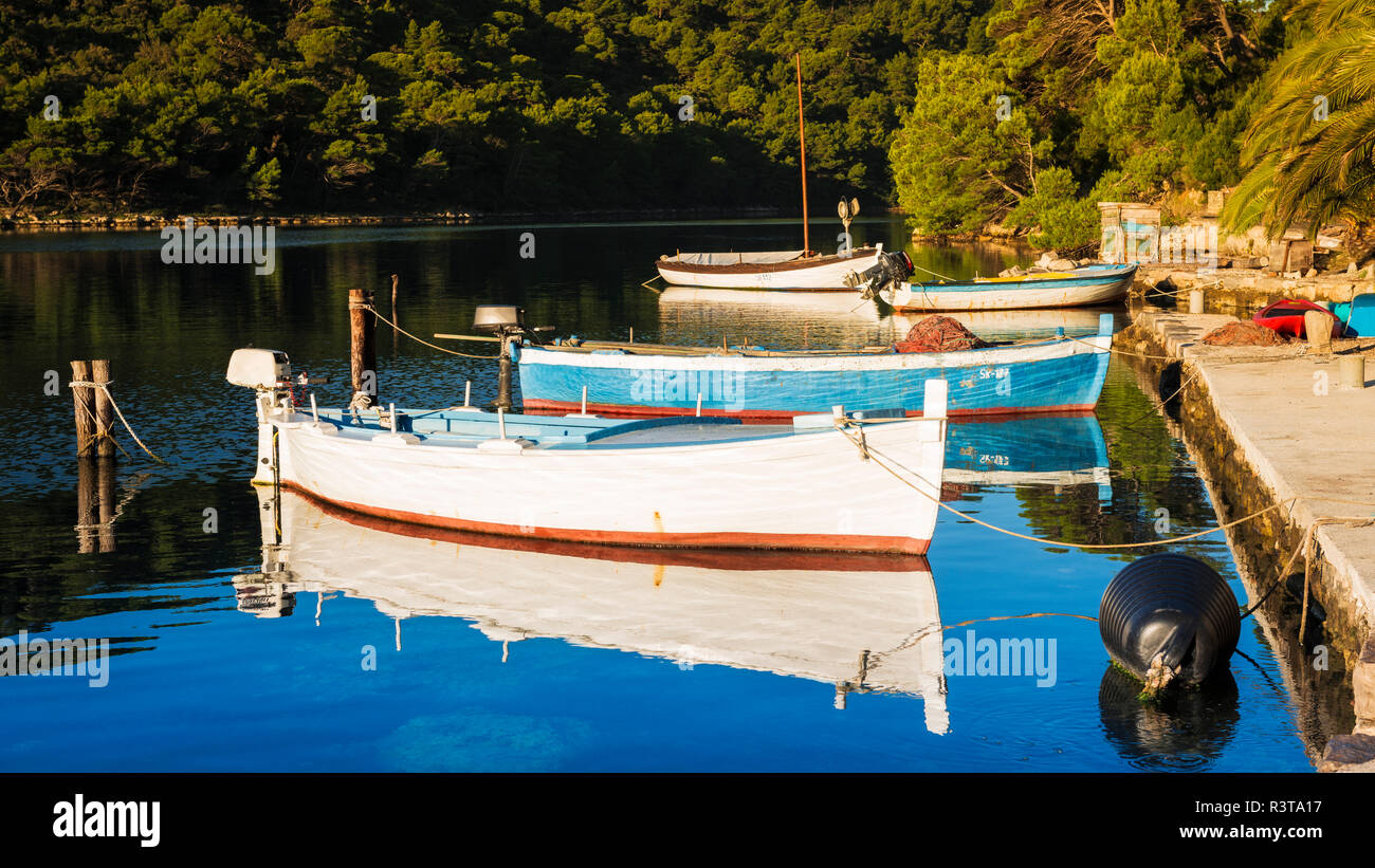 Fishing boats at Soline, Mljet Island National Park, Dalmatia, Croatia ...