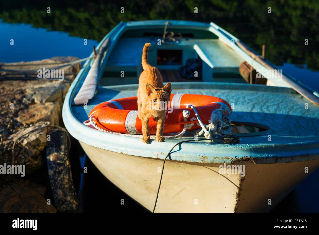 Fishing boat and cat at Soline, Mljet Island National Park, Dalmatia ...