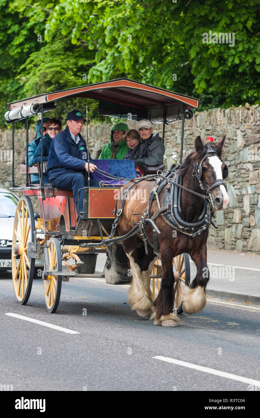 Ireland, County Kerry, Ring of Kerry, Killarney, Jaunting Cars, horse ...
