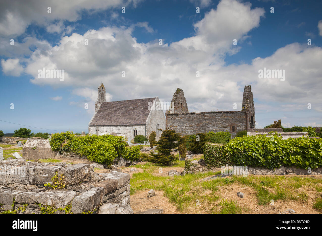 Ireland, County Kerry, Ardfert, Ardfert Cathedral, 13th century Stock ...