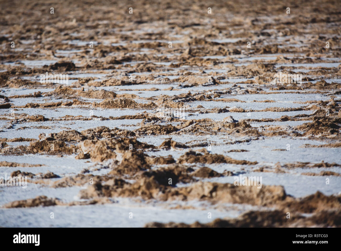 Vibrant view of Badwater basin, endorheic basin in Death Valley ...