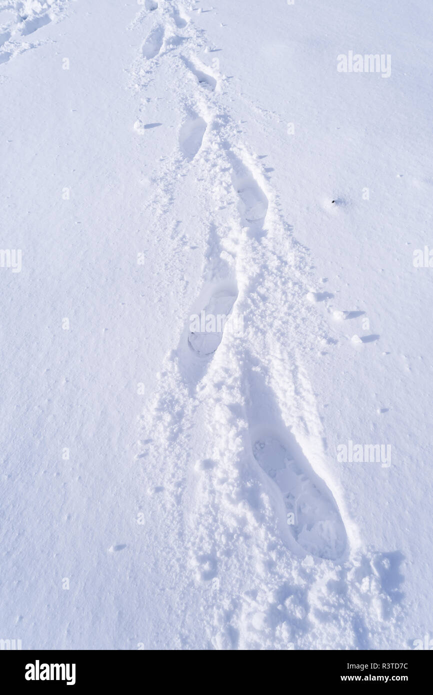 Footprint and hands on snow for texture background Stock Photo - Alamy