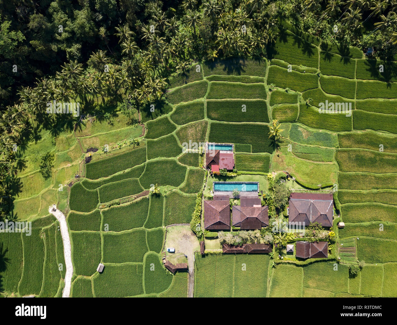 Pool rice paddies hi-res stock photography and images - Alamy