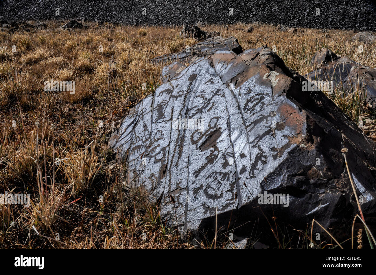 Prehistoric goat hi-res stock photography and images - Alamy