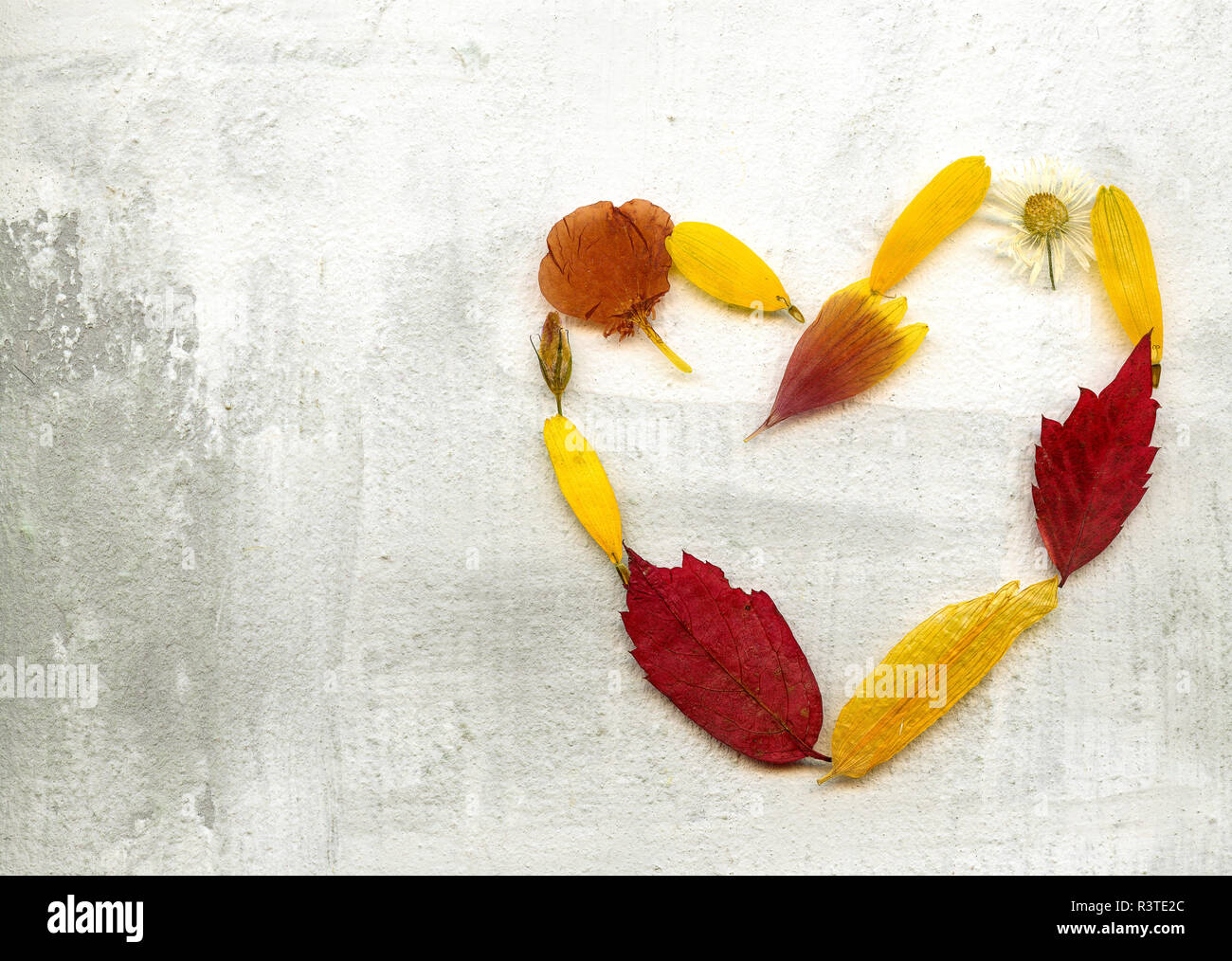 Heart shaped of dried petals, flower heads and leaves Stock Photo - Alamy