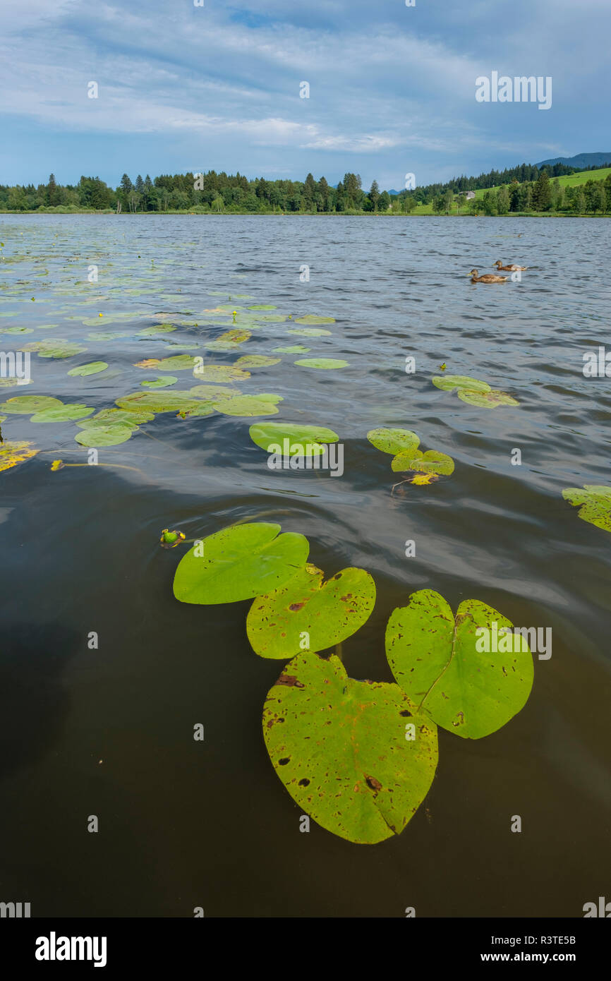 Bad bayersoien hi-res stock photography and images - Alamy
