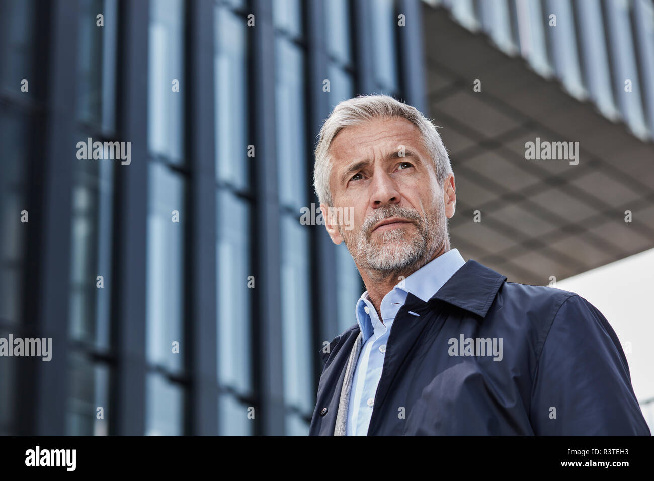 Grey businessman hi-res stock photography and images - Alamy
