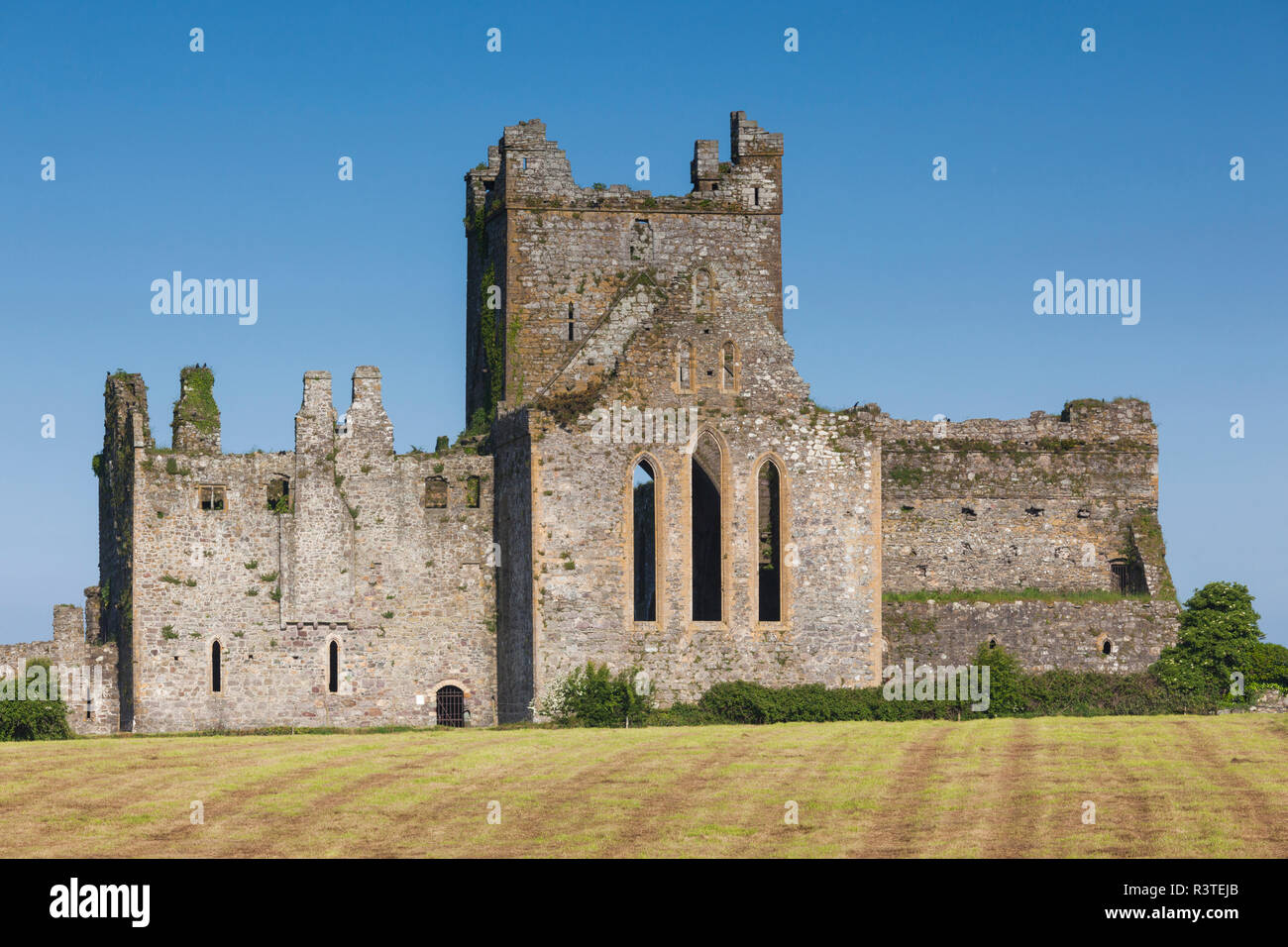 Ireland, County Wexford, Hook Peninsula, Campile, Dunbrody Abbey, 12th ...