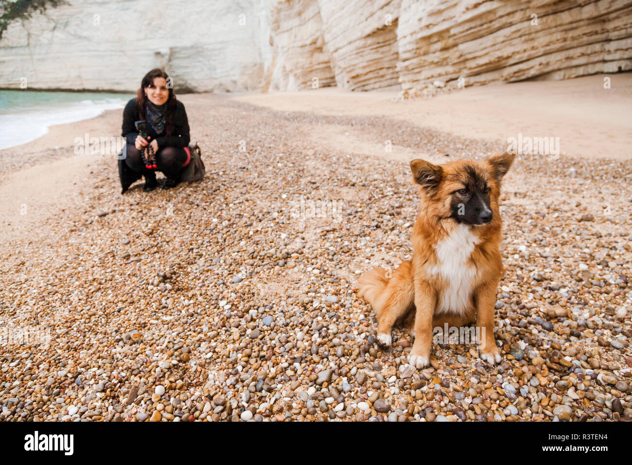 Stray animals day hi-res stock photography and images - Alamy