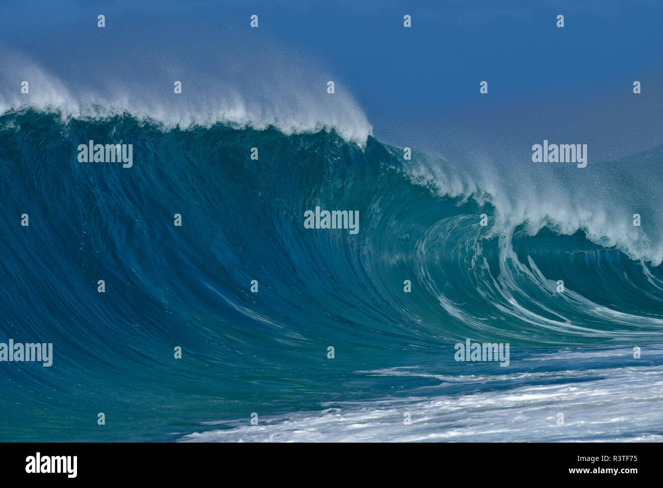 USA, Hawaii, Oahu, Pacific Ocean, Big dramatic wave Stock Photo - Alamy
