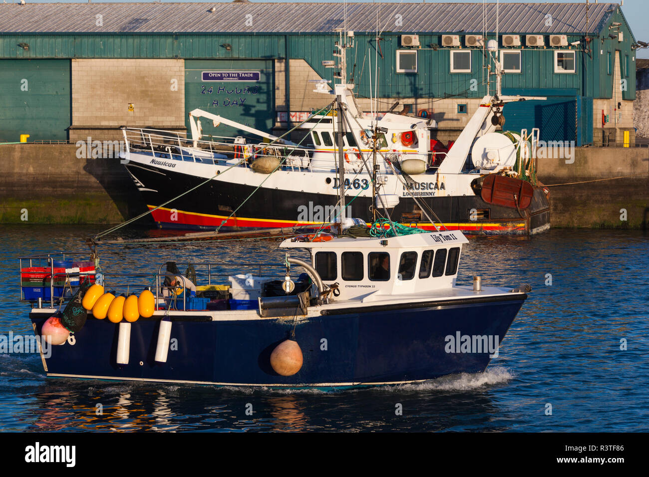 Ireland, County Fingal, Howth, Howth Harbor, fishing boats Stock Photo ...