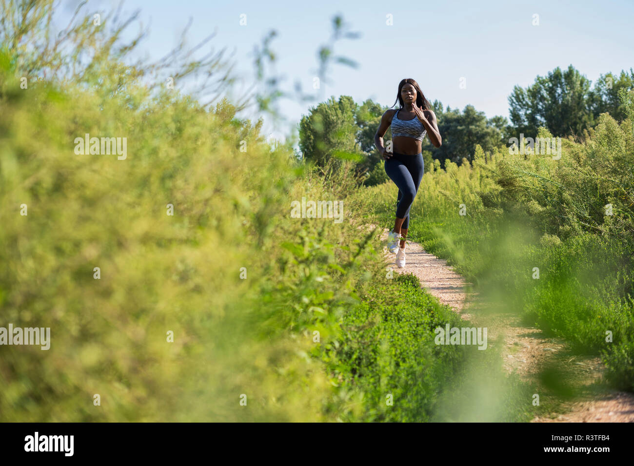 Young athlete jogging in the fields Stock Photo - Alamy