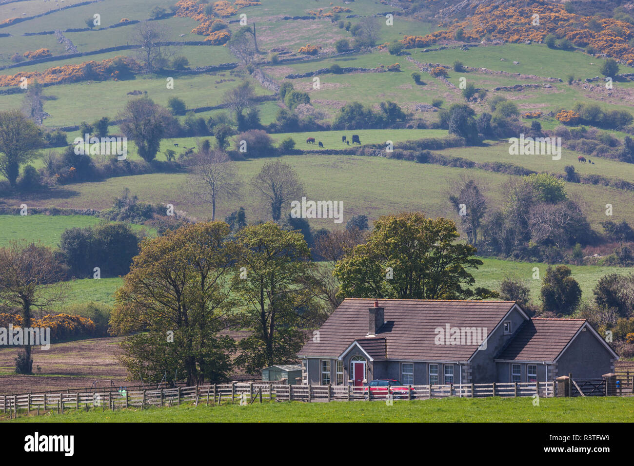 UK, Northern Ireland, County Down, Castlewellan, view of the Mourne ...