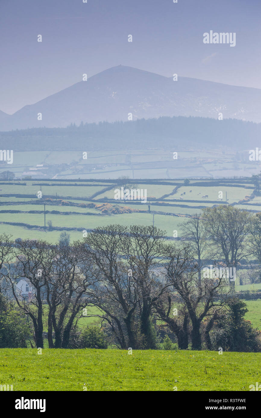 Northern ireland county down castlewellan hi-res stock photography and ...