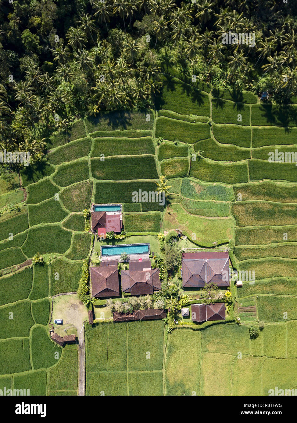 Indonesia, Bali, Ubud, Aerial view of rice fields Stock Photo - Alamy