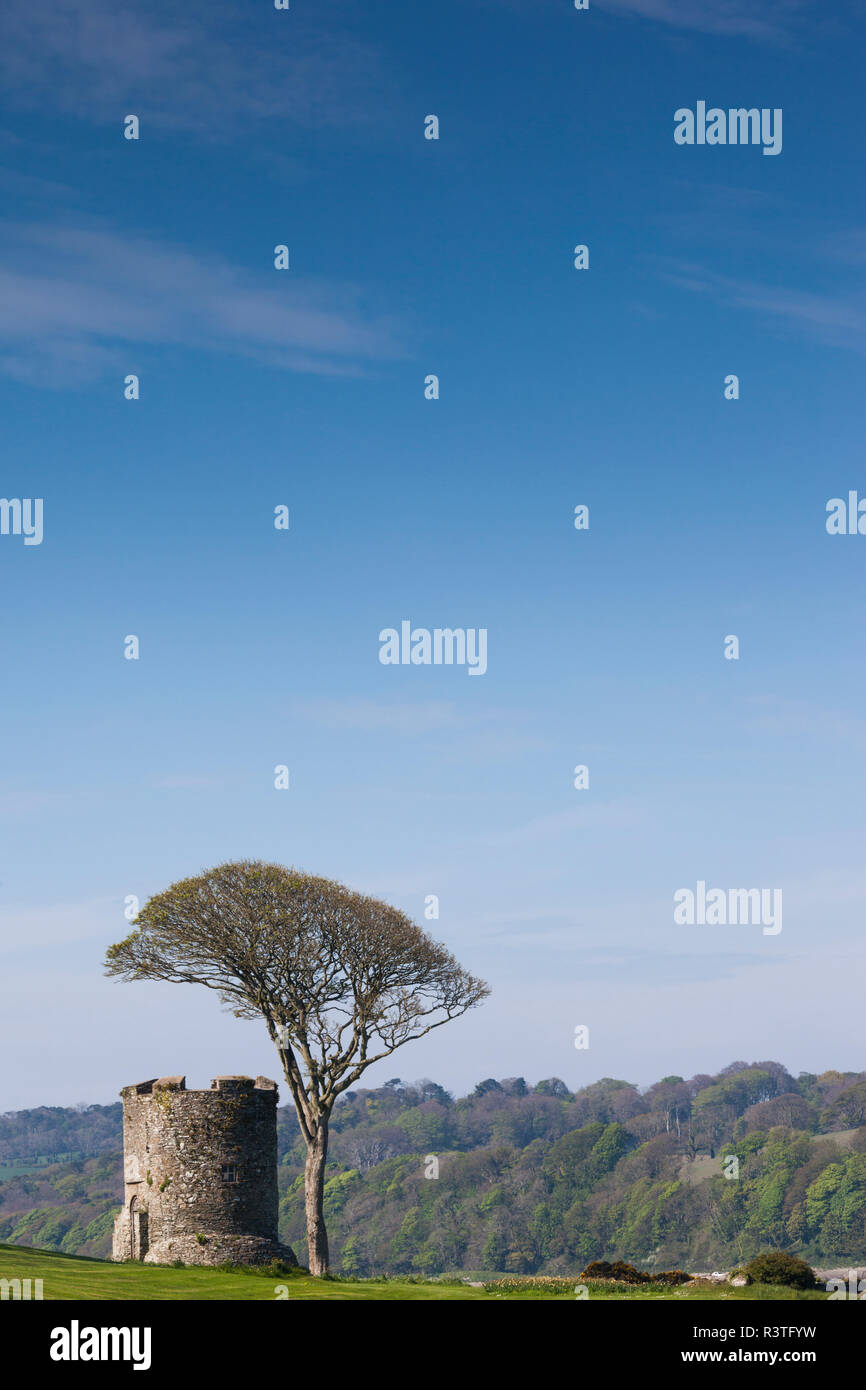 Ancient tree northern ireland High Resolution Stock Photography and ...