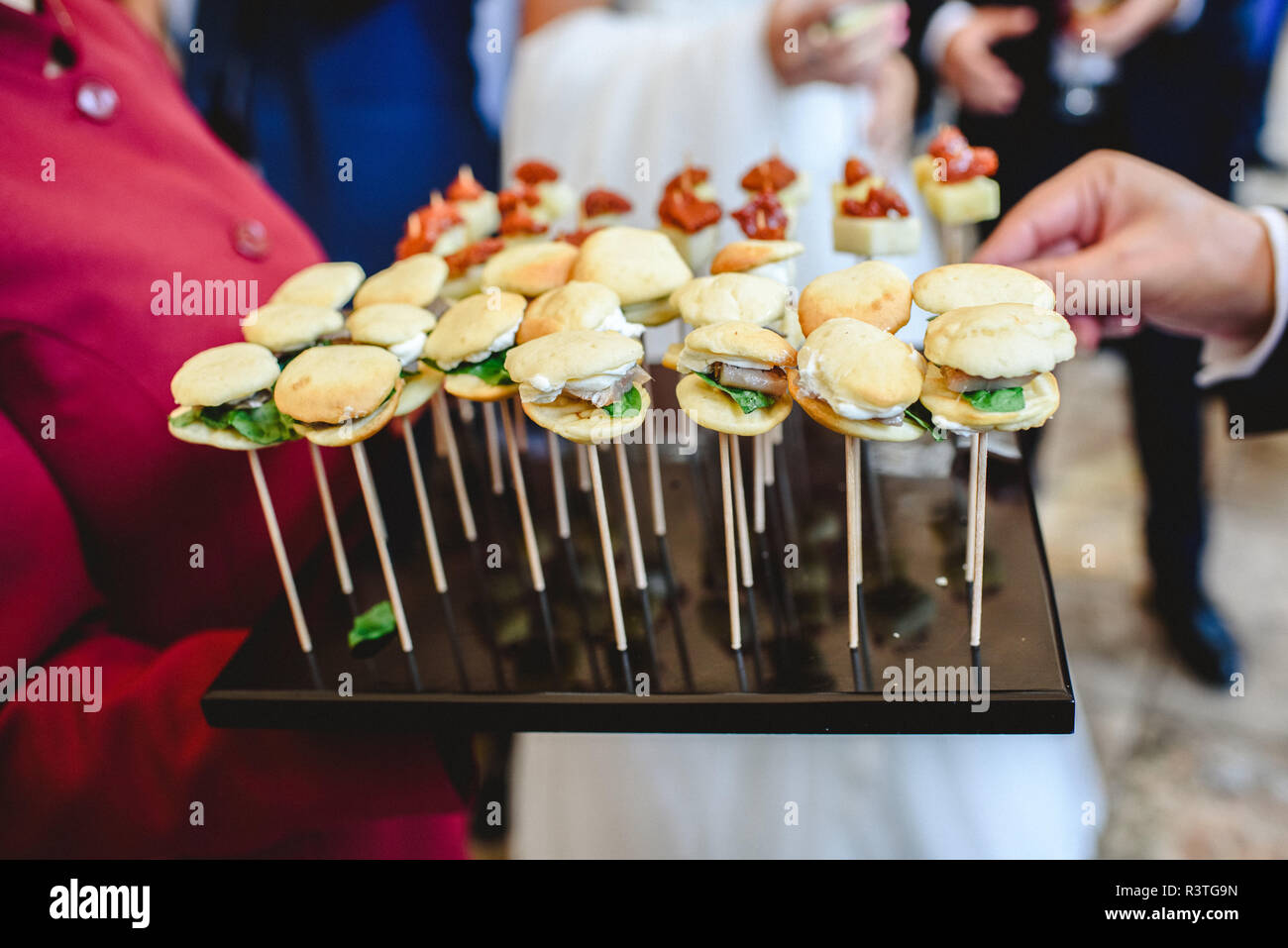 Mediterranean style appetizers served during a party for a caterign ...