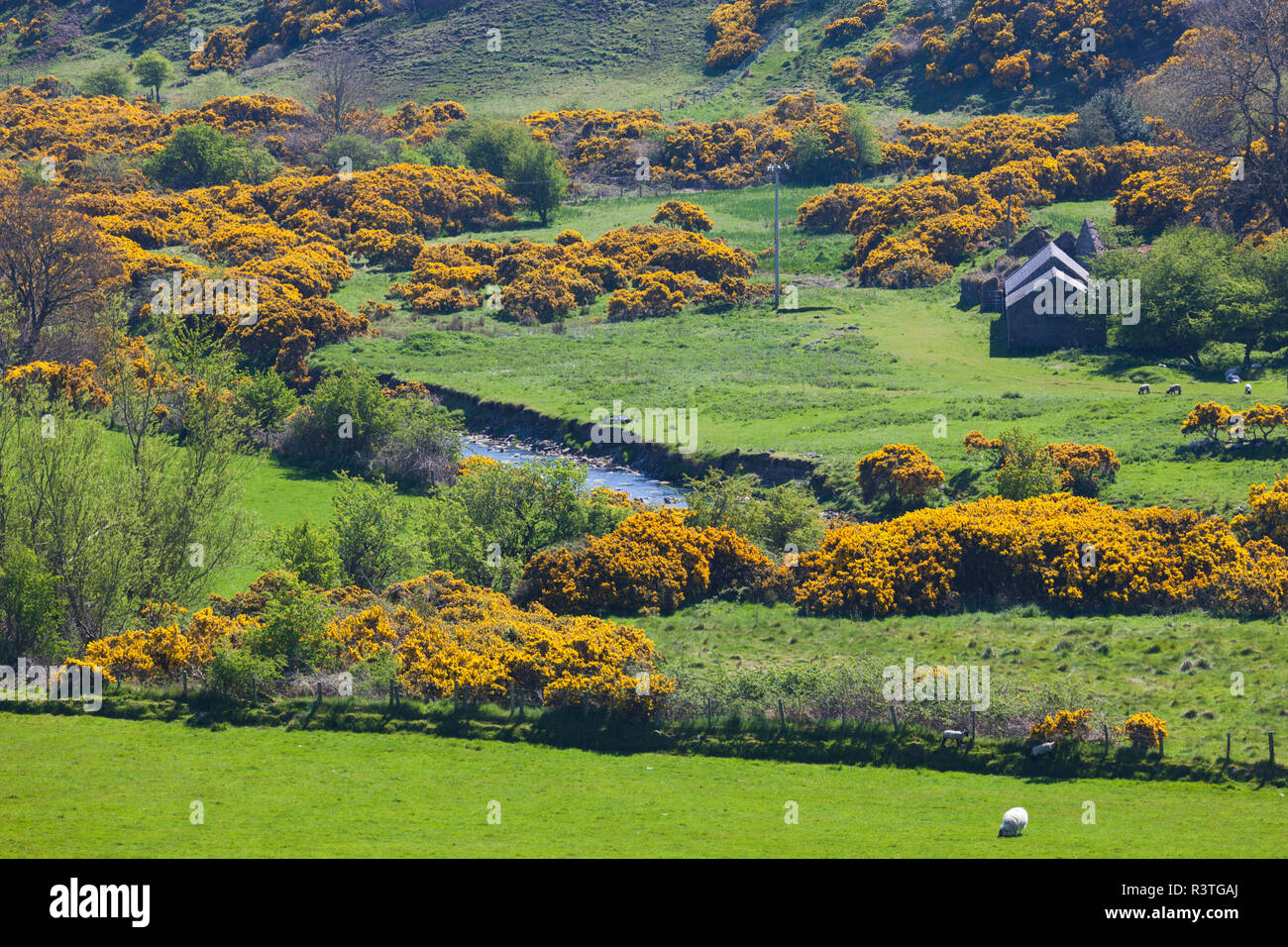 Torr head scenic road hi-res stock photography and images - Alamy