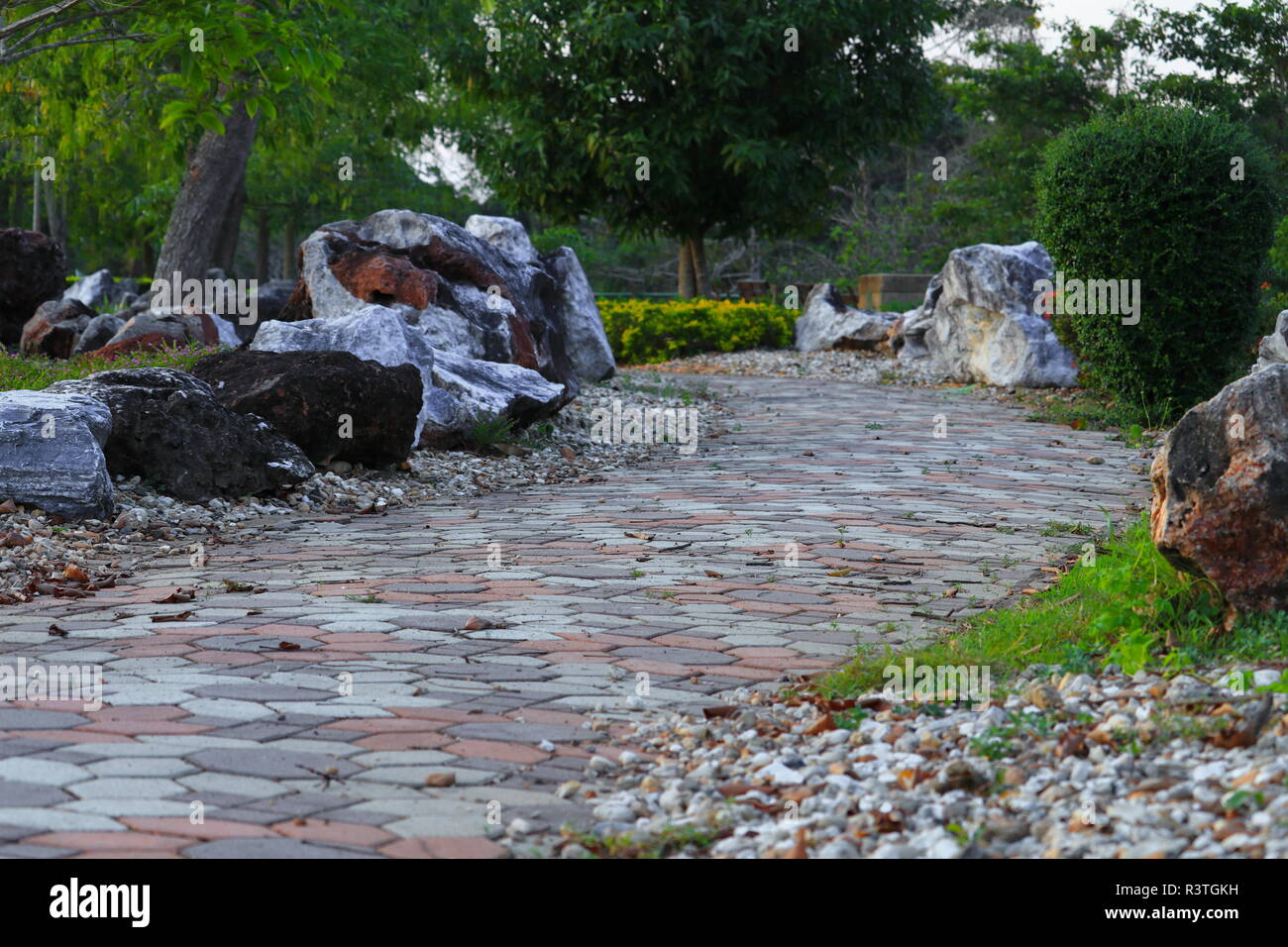 Stone block walkway path in the park and light sunset Select focus with ...