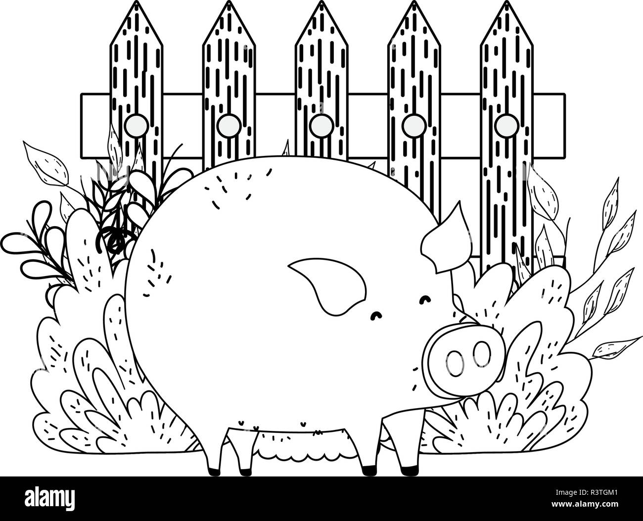 pig animal farm with garden and fence vector illustration design Stock ...