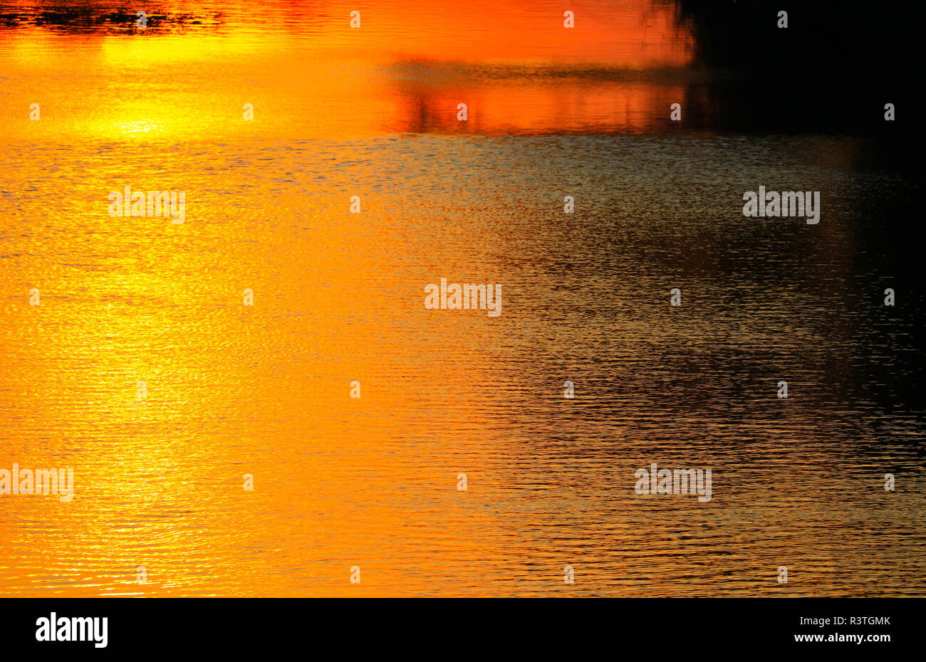 reflection river and shadow tree in water beautiful sunset nature Stock ...