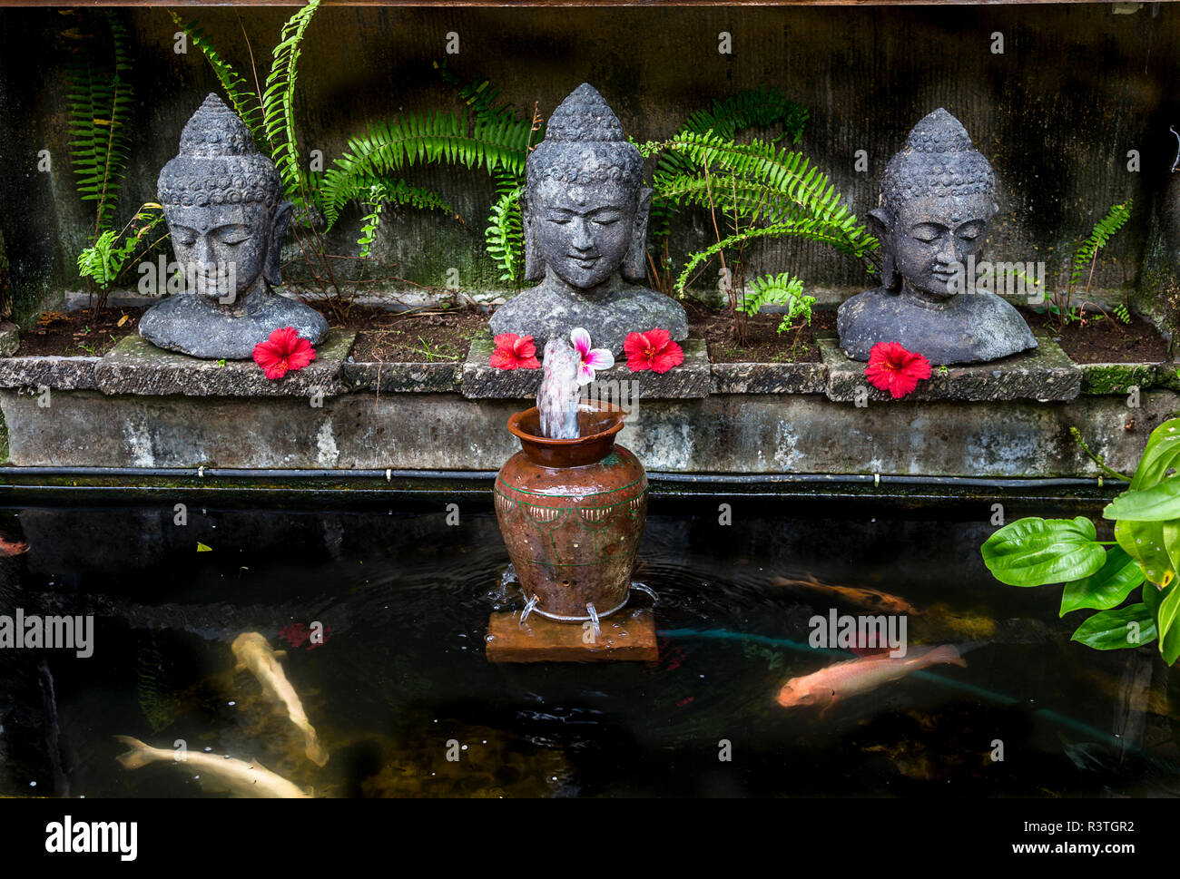 Three Buddha heads sitting over a pond of fish with a pot used as a ...