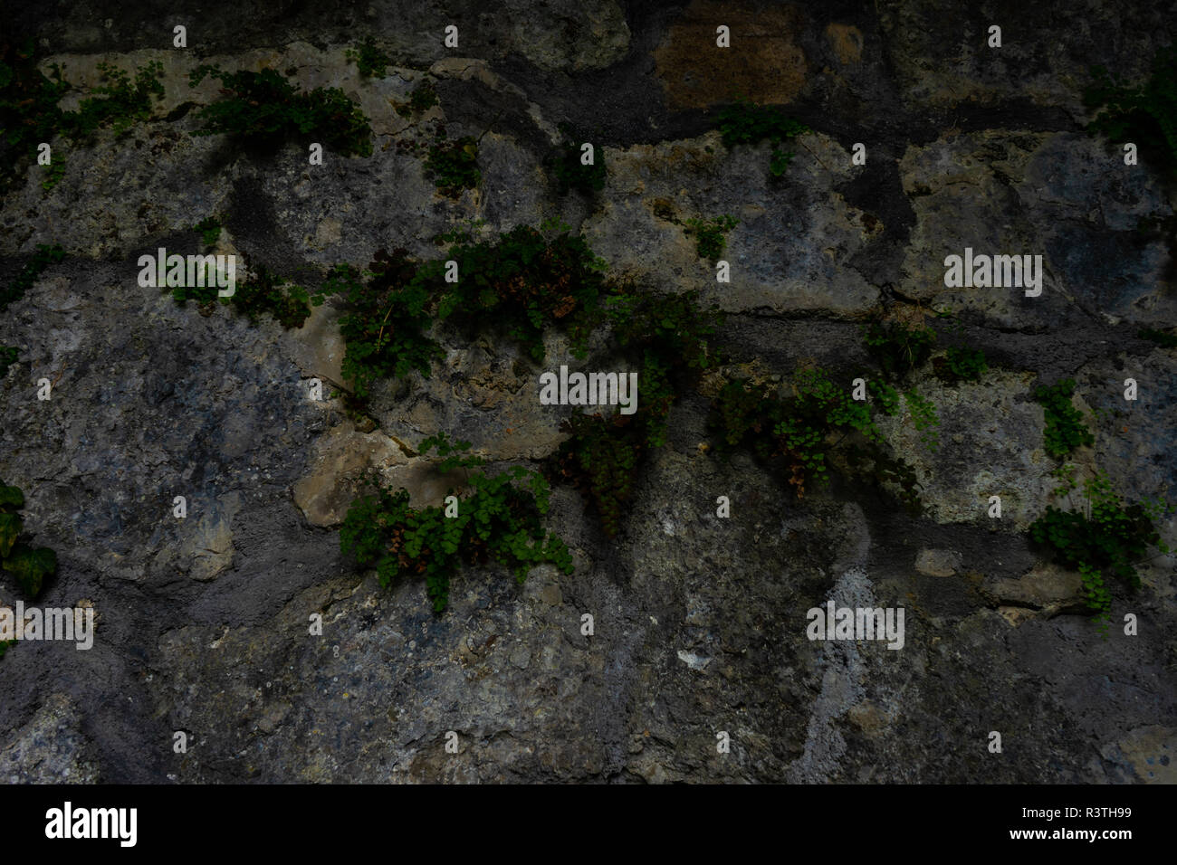 Gonio, Georgia / July 9, 2018: Ancient roman fortress Gonio - Asparos ...