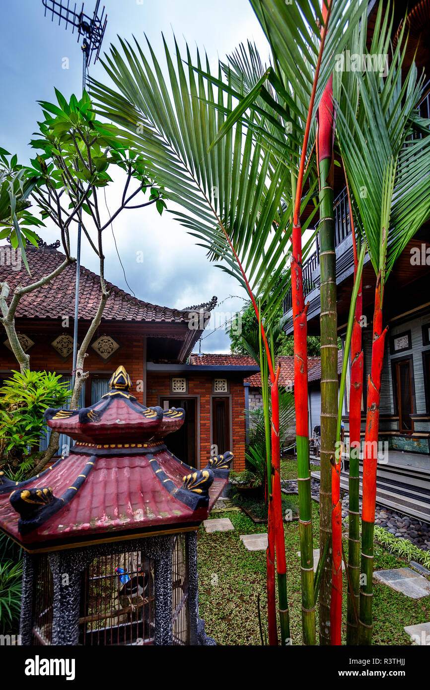 Multiple colored palms hi-res stock photography and images - Alamy