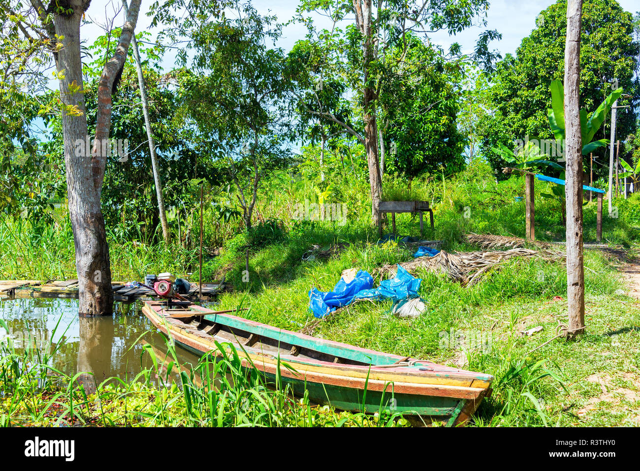 Canoe in the Amazon Stock Photo - Alamy