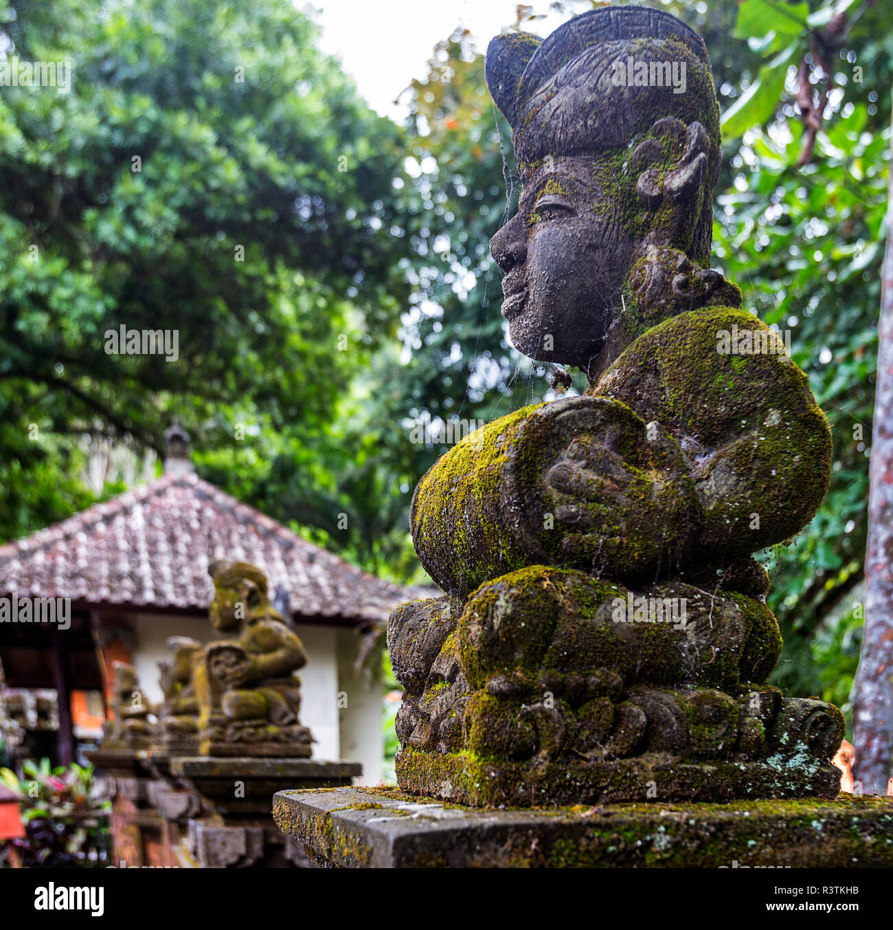 Hindu Idol at Sebatu Hindu Temple, Bali Indonesia. A line of like idols ...