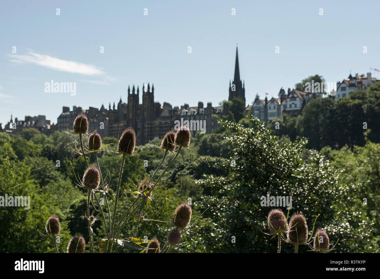Scotch thistle and Edinburgh Castle (early parts date from 12th century ...