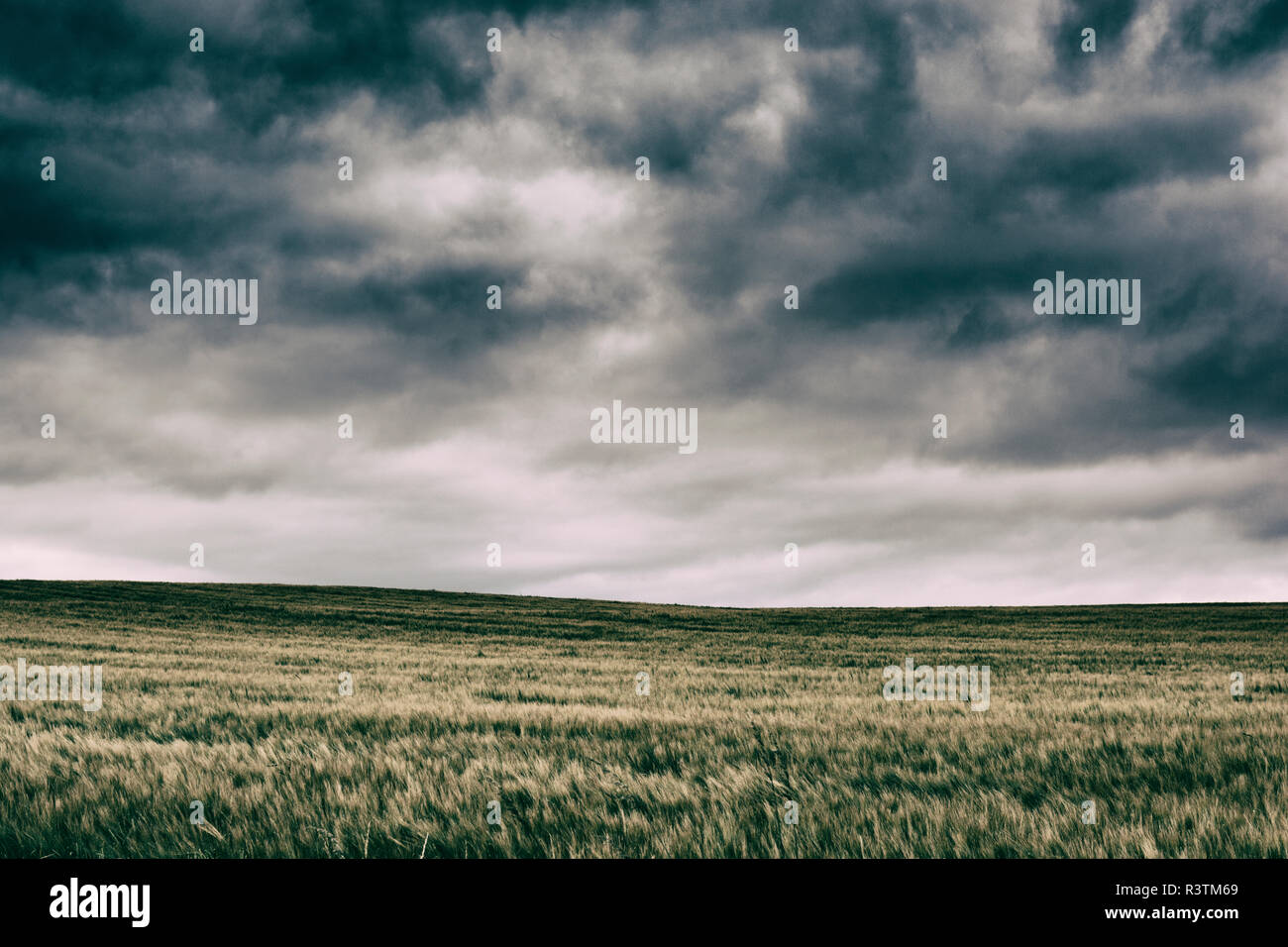 Scottish landscape near Stonehaven. Scotland Stock Photo - Alamy