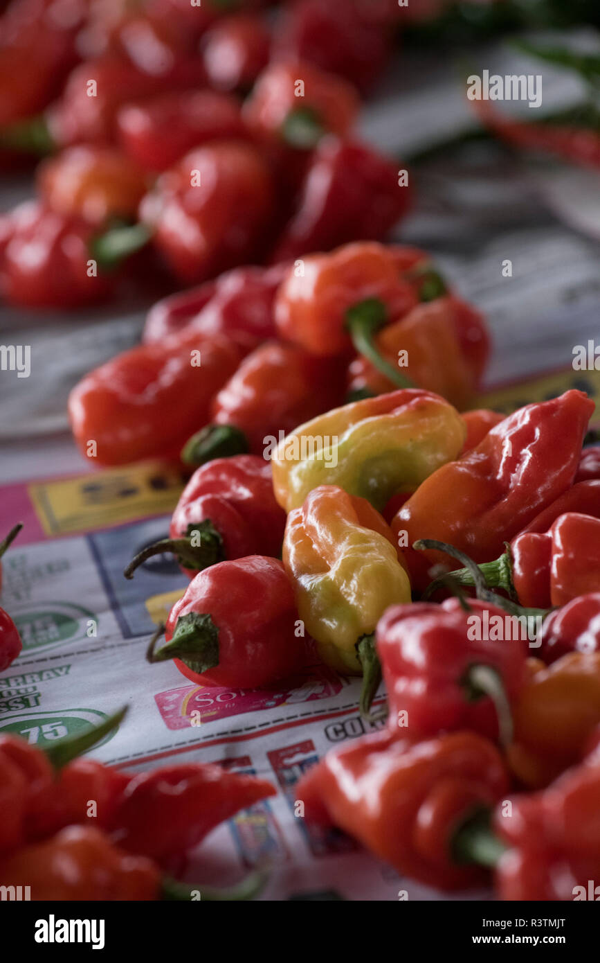 Fiji, Pacific Islands. Peppers and other vegetables on display at open ...