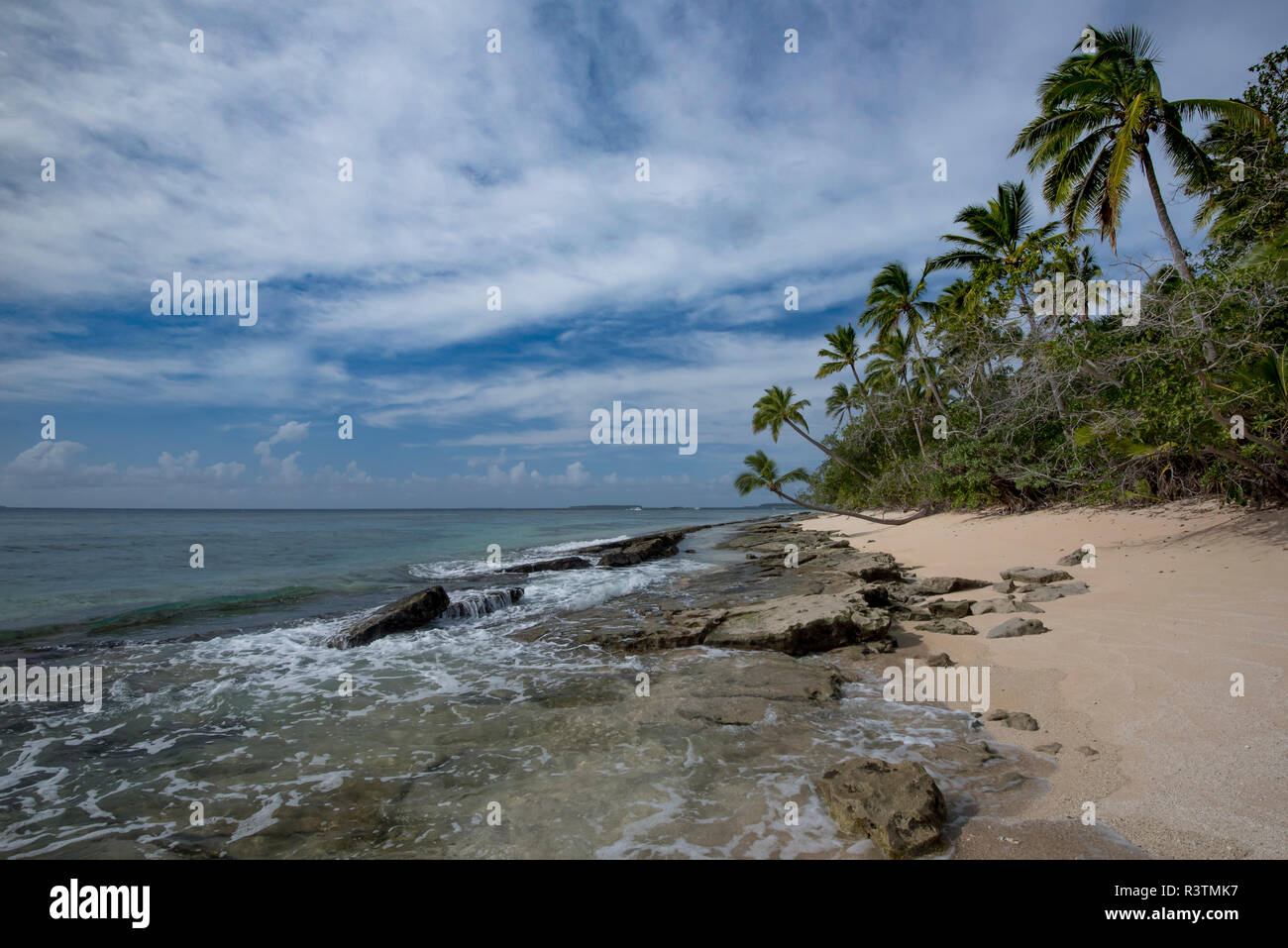 Deserted sandy beach on an uninhabited island with palm trees and ...