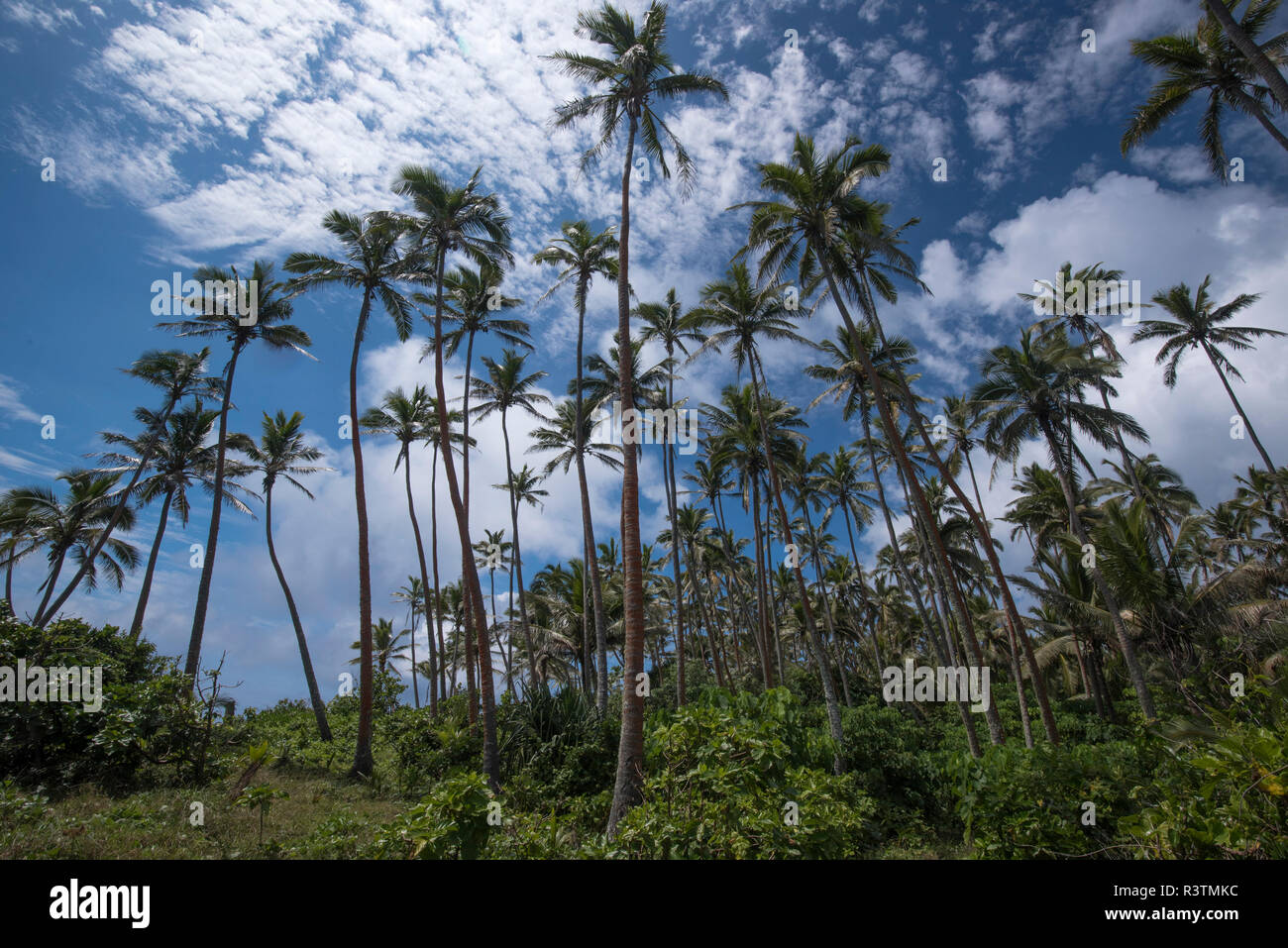 Kingdom of tonga hi-res stock photography and images - Alamy