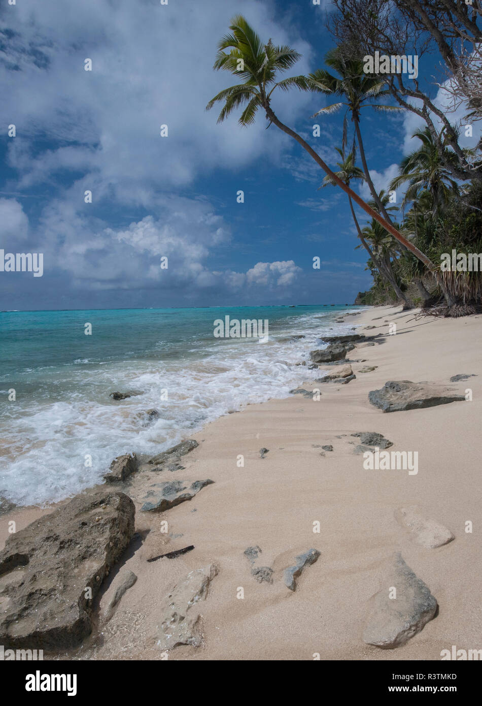 Deserted sandy beach on an uninhabited island with palm trees and ...
